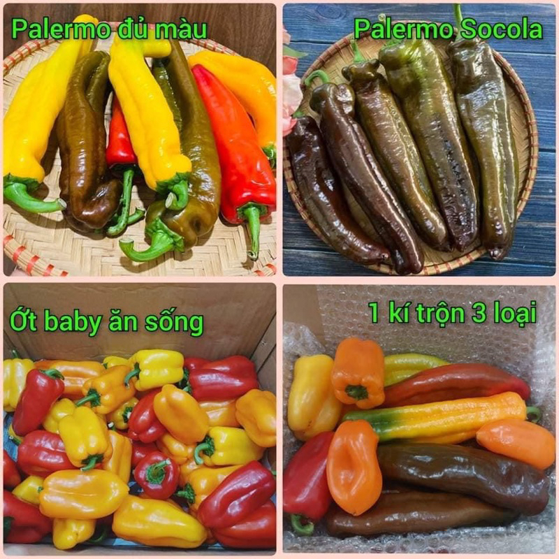 FRUIT CHILLI (SWEET CHILLI) - Snack chili / baby chili / Sweet chili ...