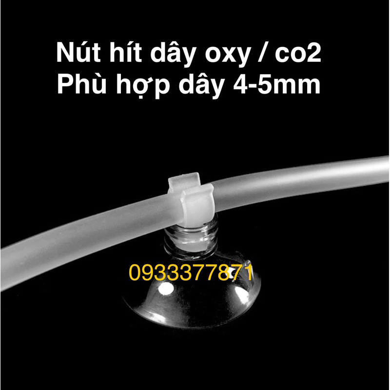 OXY 5 li Glass Inhaler Button | Oxygen Inhaler Button, CO2 - Oxygen ...