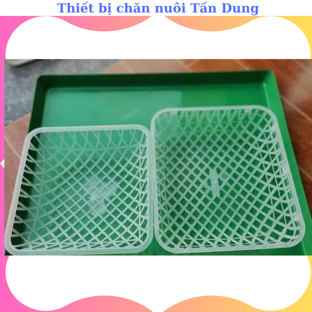 10 Bamboo chicken pigeon breeding baskets, plastic bird egg incubation ...