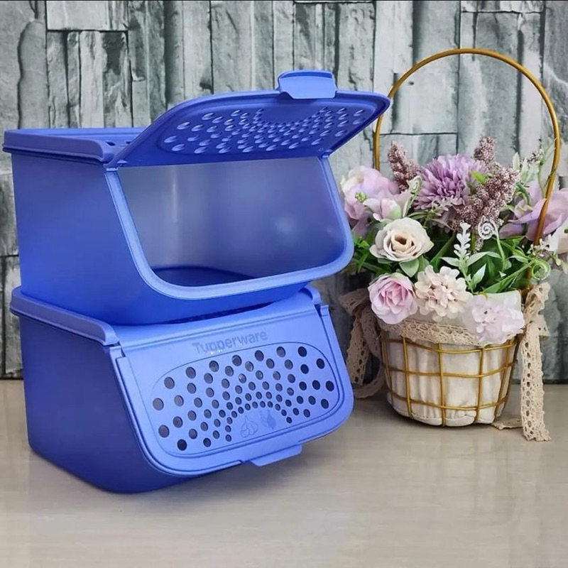 Tupperware - Onion and Garlic container -Garlic n all mate keeper ...