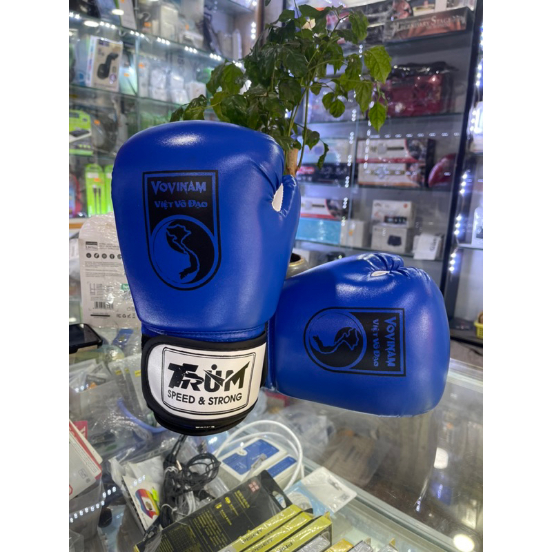 Vovinam Vietnamese Martial Arts boxing Gloves | Shopee Malaysia