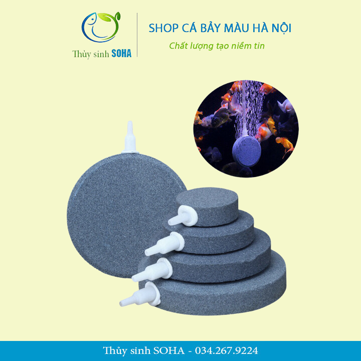 OXY Oxygen Effervescent Disc | Effervescent Stone Aquarium Gas | Shopee ...
