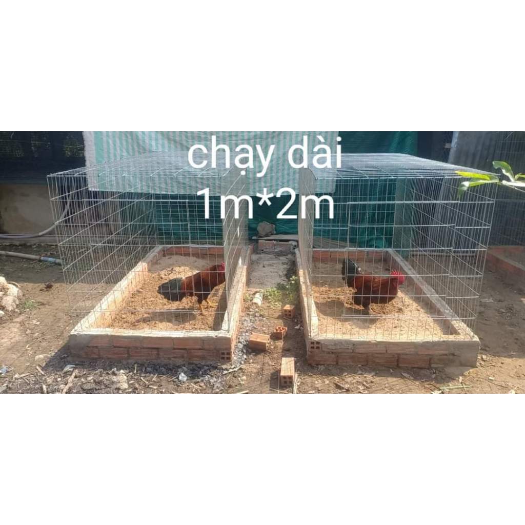 Chicken CAGE, Chicken cage 1M X1M LONG 2M 3l4 [pre-assembled goods ...