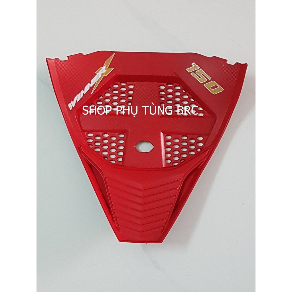 Front fender triangle for WINNER X 2019 - 2021 (I choose color on order ...