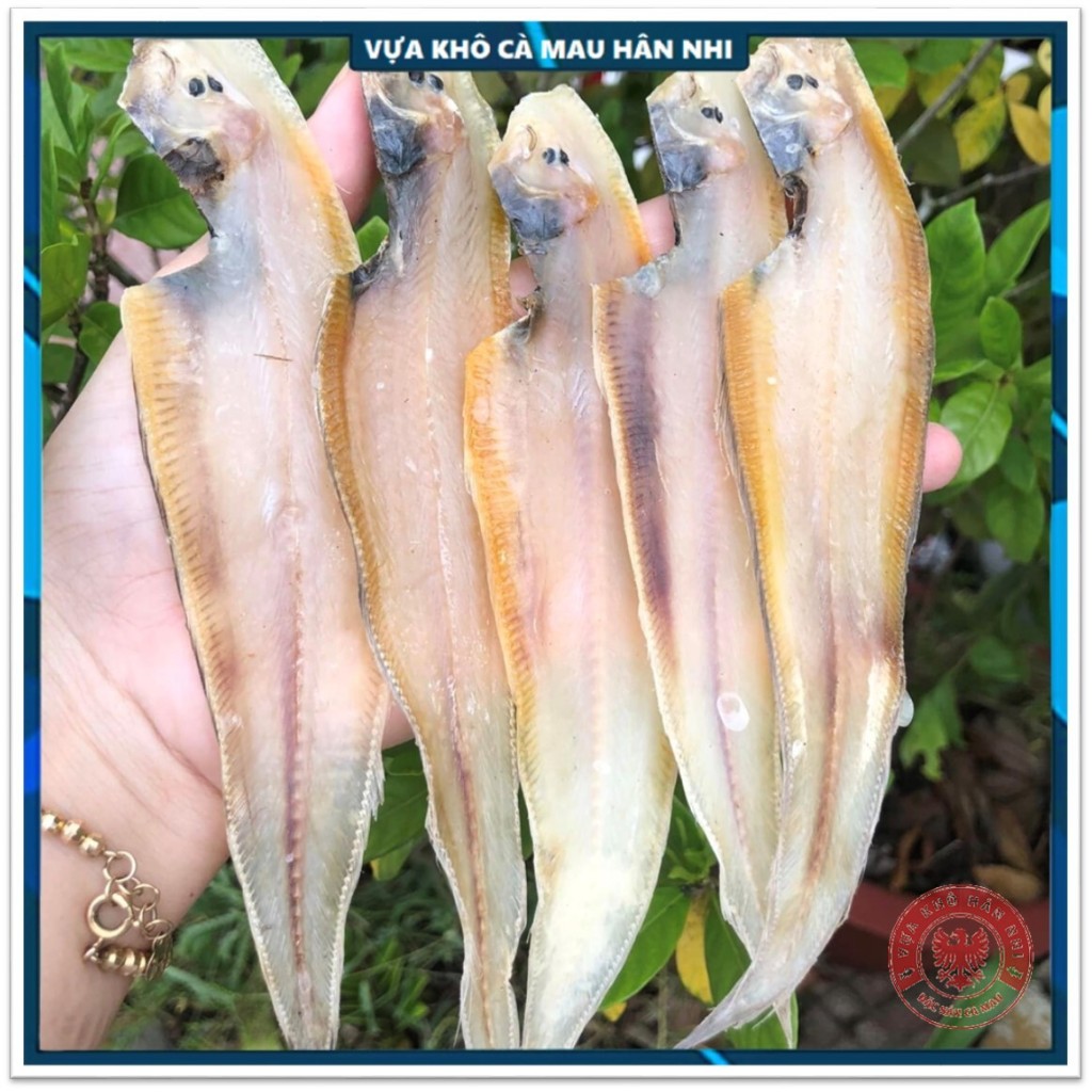 Medium Size Dried Buffalo Tongue Fish, Beef Tongue Fish, Lung Fish - Ca ...