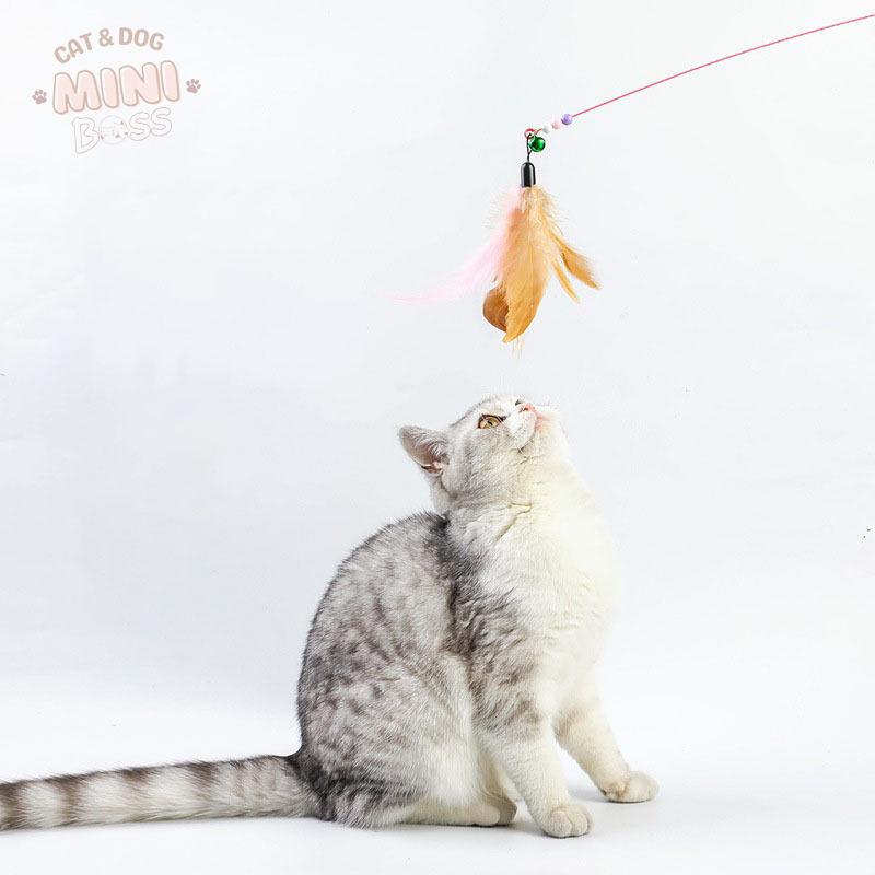 Sturdy steel wire cat fishing rod toy with feathers | Shopee Malaysia