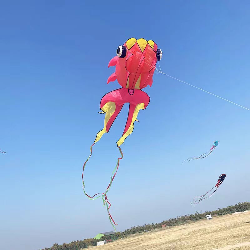 3d fish aerodynamic kite with 20 meter long tail | Shopee Malaysia