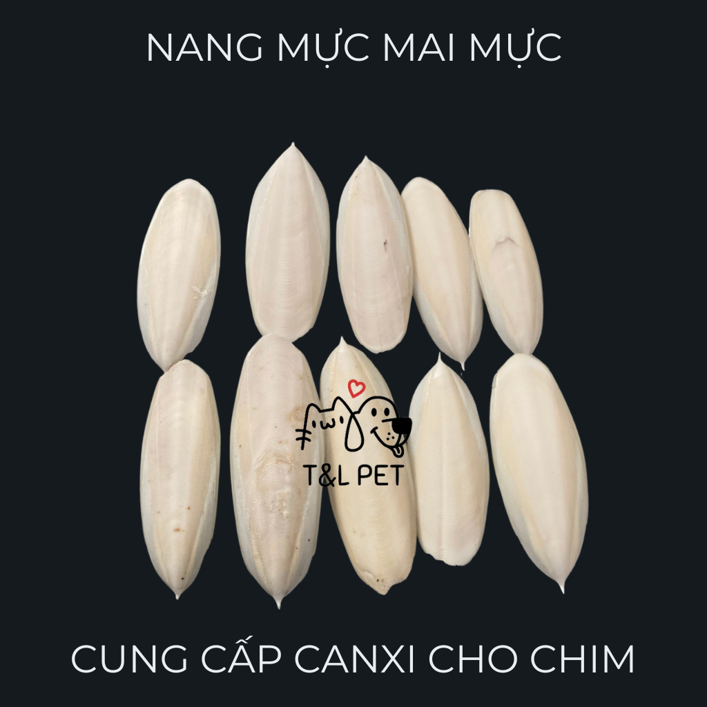 100 grams of squid cysts and squid bones provides calcium for birds ...