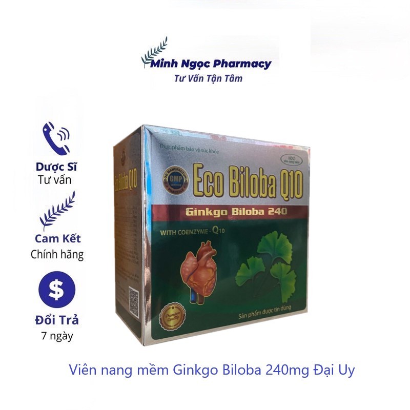 Box of 100 Dai Uy Ginkgo Biloba 240mg soft capsules - Nourishes the ...