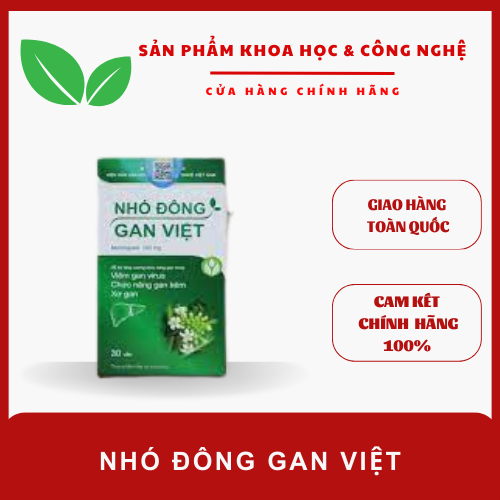 [ Genuine - 30v BOX] gan Viet Dong Moc supports enhancing liver ...