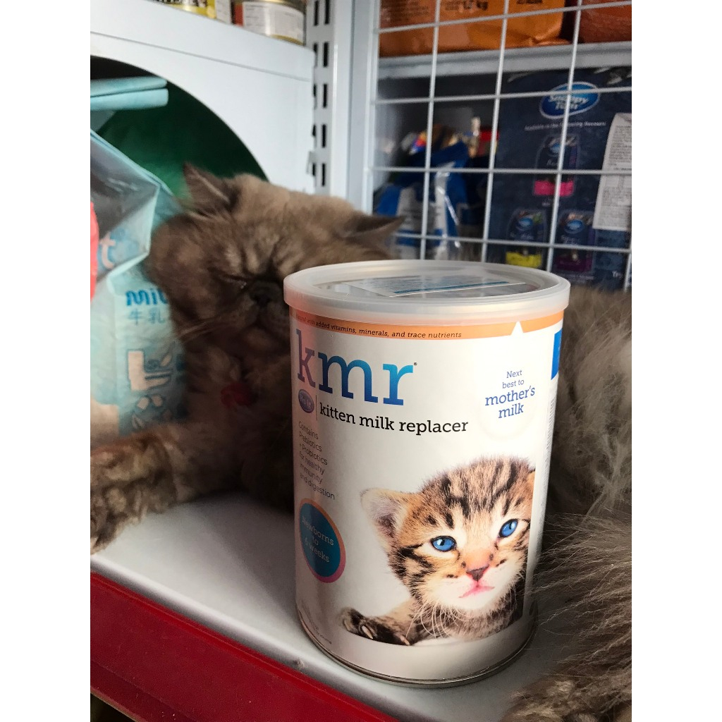 KMR Milk Tin Can 340g Date 2026 - For Kittens, Pregnant Cats, Skinny Cats, Anorexia | Shopee ...