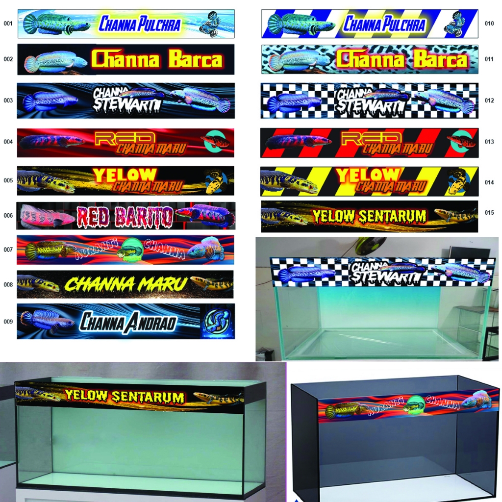 Decal stickers for snakehead fish farming in all sizes | Shopee Malaysia