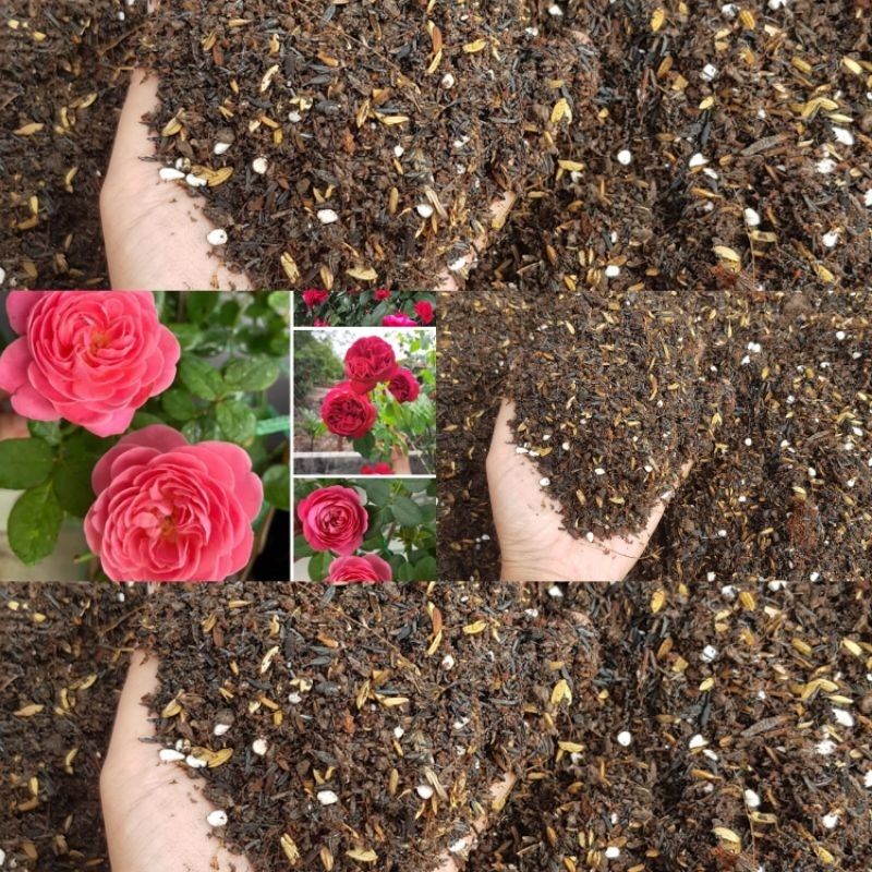 Rose soil mix (9 ingredients) | Shopee Malaysia
