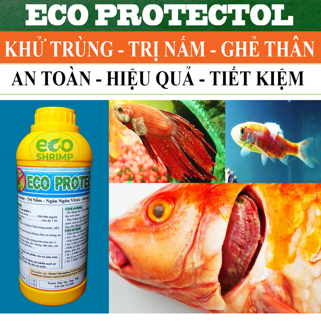 Bottle 1L PROTECTOL Kills Fungal Bacteria - Bleeding, Scabies, Fish And ...