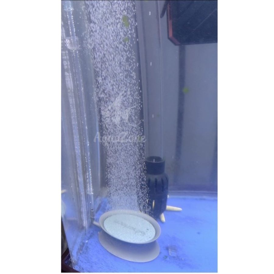 OXY Cherlam ultra-fine oxygen effervescent disc with stainless steel ...