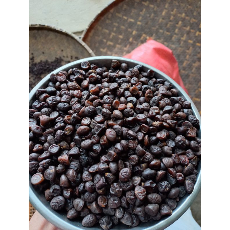 500g GUNNY SEEDS (PLANTED TREE) | Shopee Malaysia