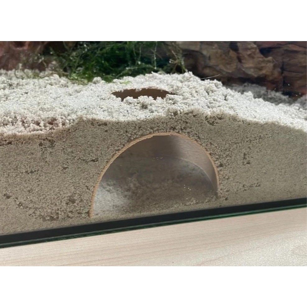 Fish cave under aquatic substrate V1 - votri3d - V21 | Shopee Malaysia