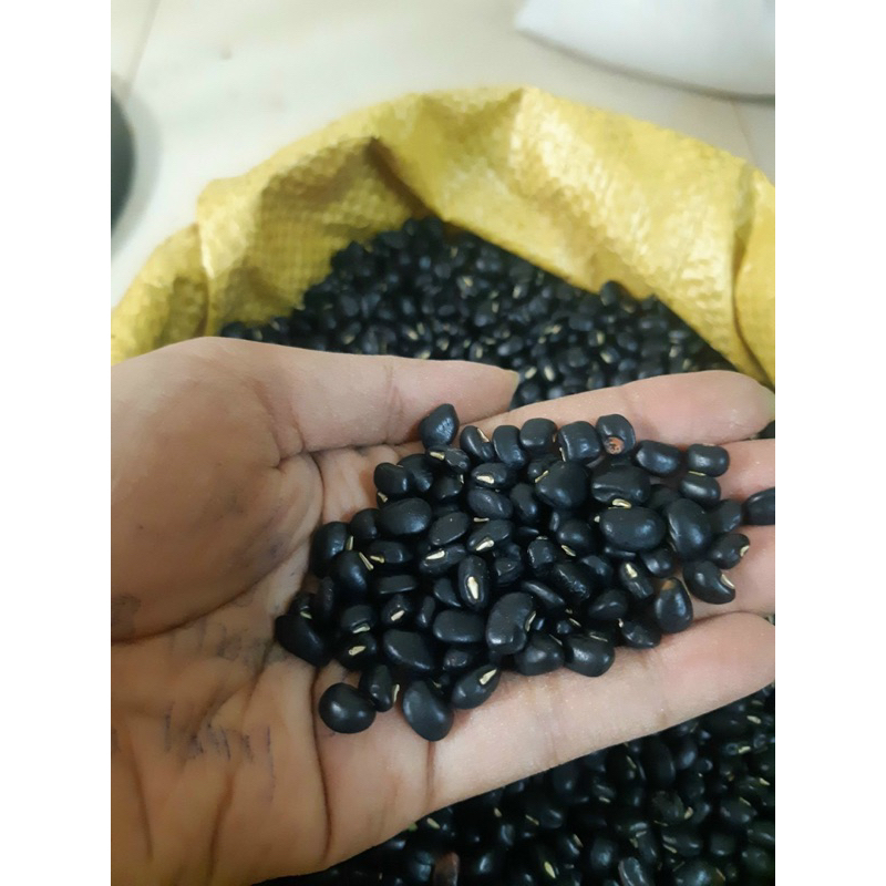 Black beans, Da Lat black beans used to make sweet soup, 1kg bag ...