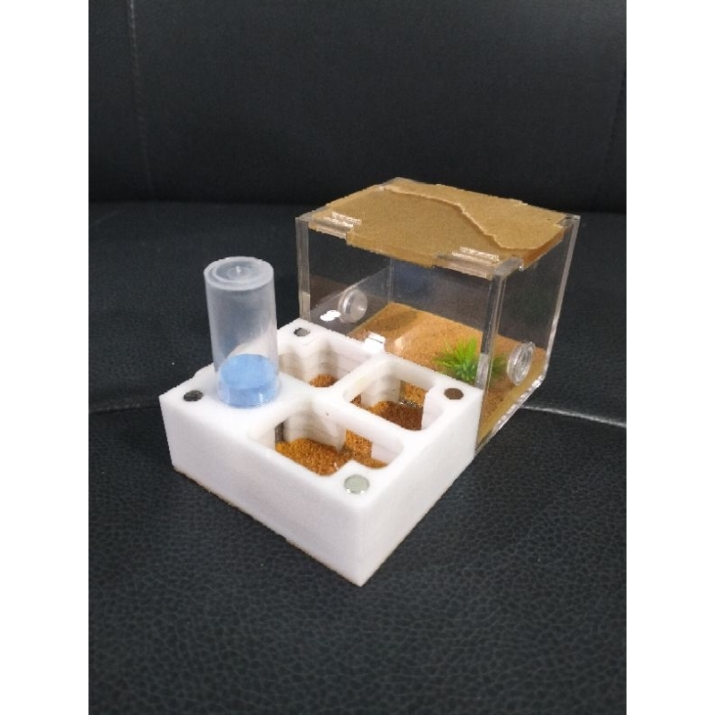 Ant tank N5, tank lying - Hoai Nam Pet | Shopee Malaysia