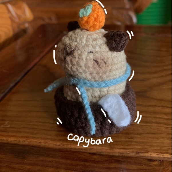 Capybara - Capybara | Shopee Malaysia