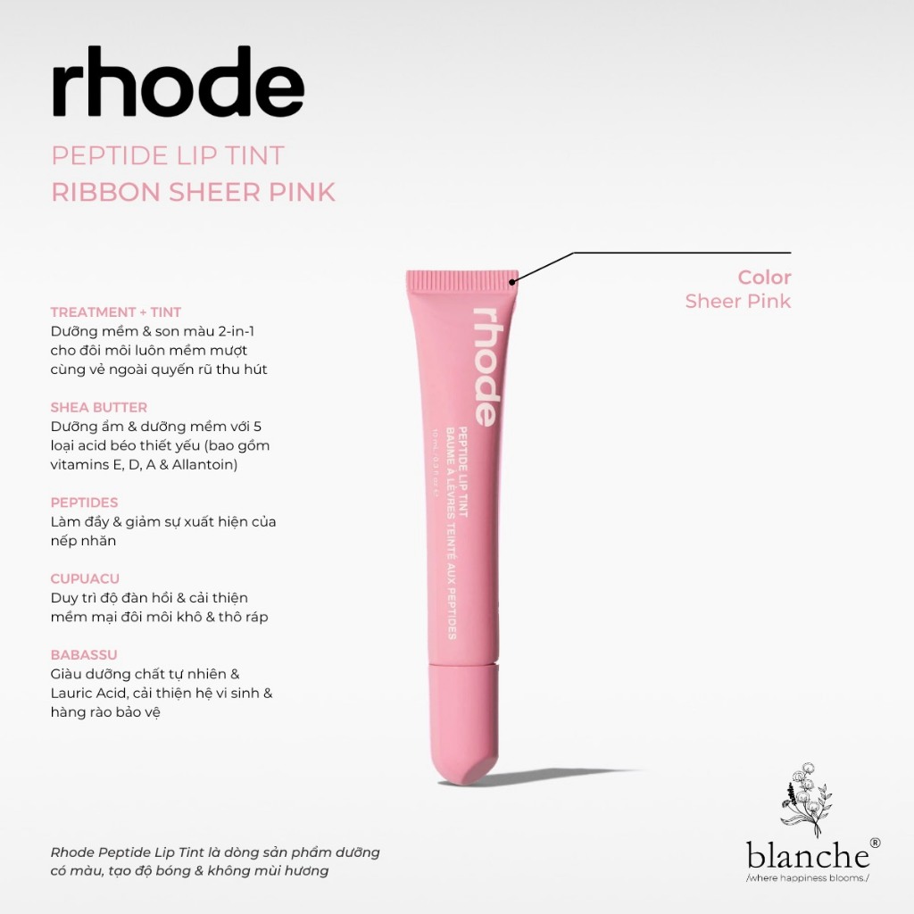 Rhode Lip Tint Ribbon, Toast, Raspberry Jelly, Espresso - Rhode Peptide ...