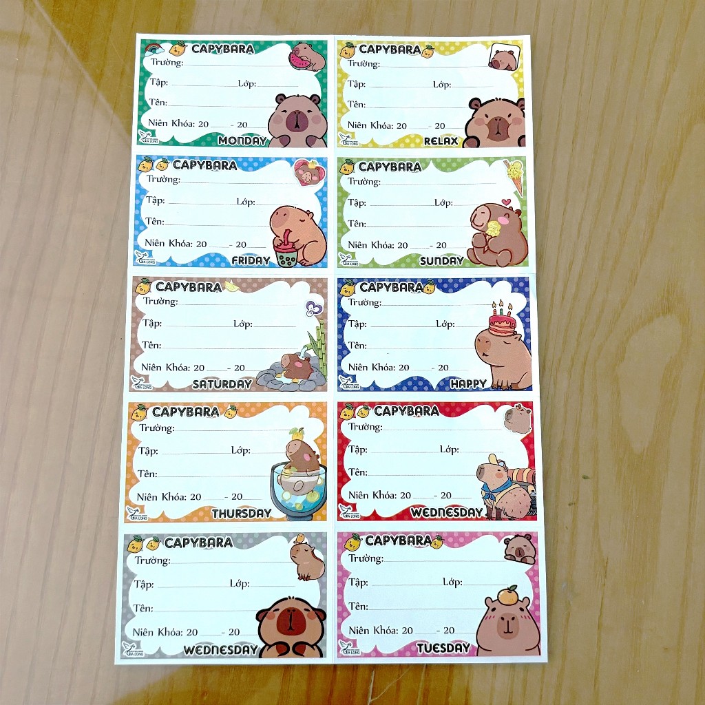 Set of 50 notebook labels CAPYBARA, LOOPY, KUROMI, Doraemon, Pochacco ...