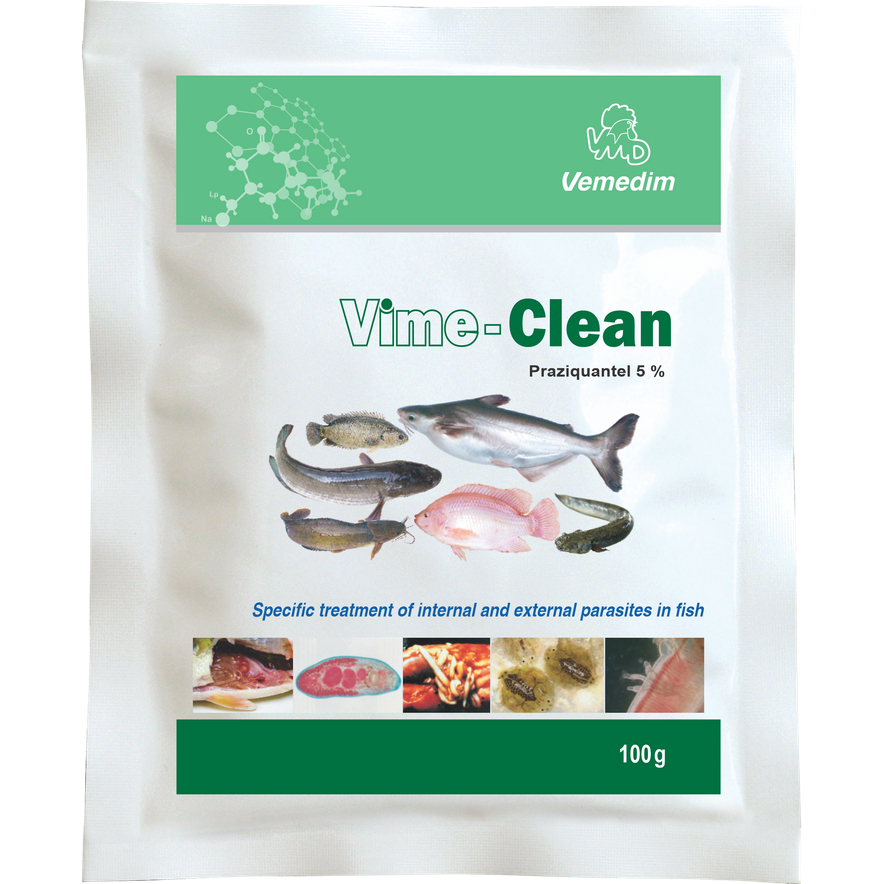 Praziquantel kills gill flukes on ornamental fish, koi fish, goldfish ...