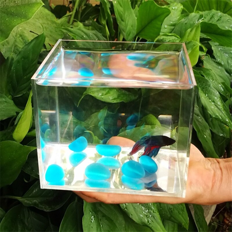 Super clear plastic fish tank - Betta, Guppy super clear high quality ...