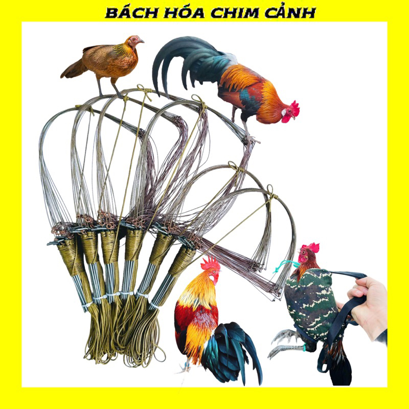 Wild Chicken Trap with High Quality Steel Legs, Cable Se 4 Heat ...