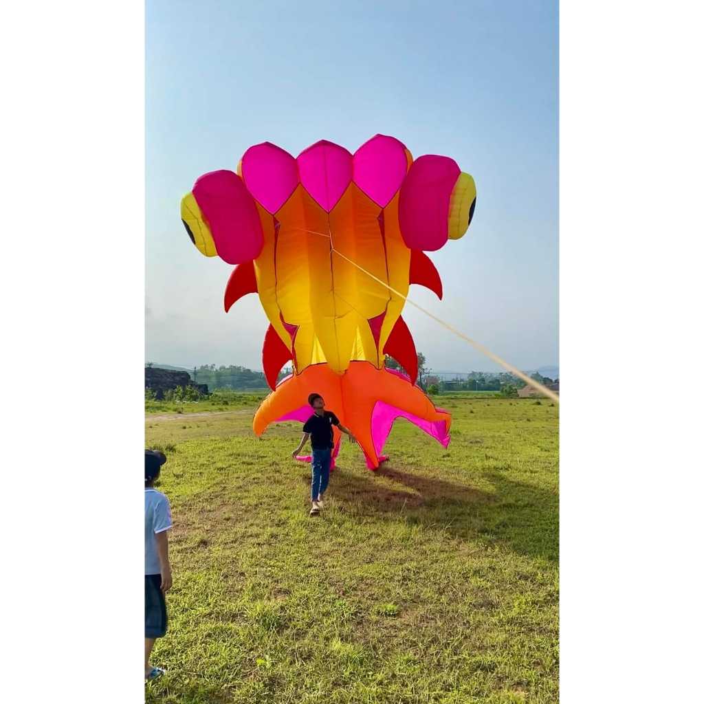 Super beautiful 5 meter aerodynamic goldfish kite | Shopee Malaysia