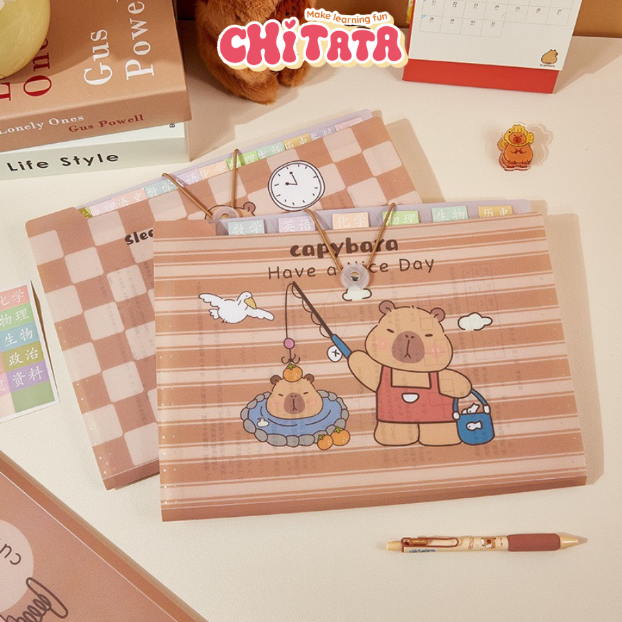 Capybara Document Bag with Many Compartments A4 Size Multi-compartment ...