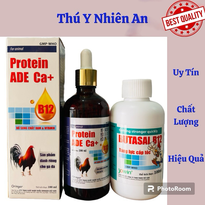 Super Vip chicken raising duo: 1 bottle of ADE Protein and 1 bottle of ...