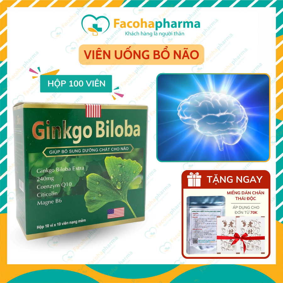Ginko Biloba nourishes the brain enhances the brain and blood ...
