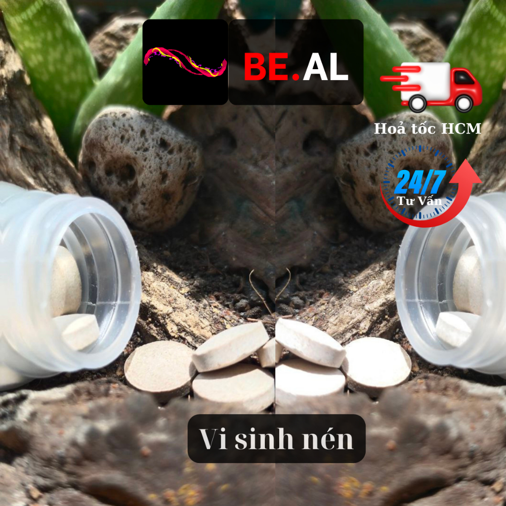 Compressed fish tank yeast microorganisms are easy to use for aquariums ...