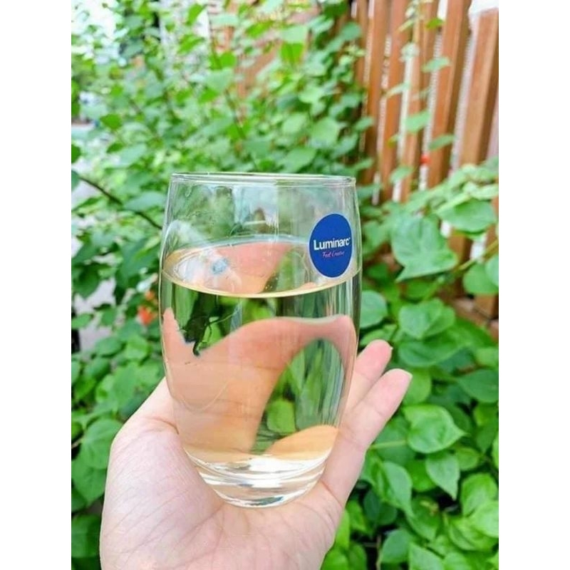 Set Of 12 LUMINARC Heat Resistant Glass Cups 350ml | Shopee Malaysia