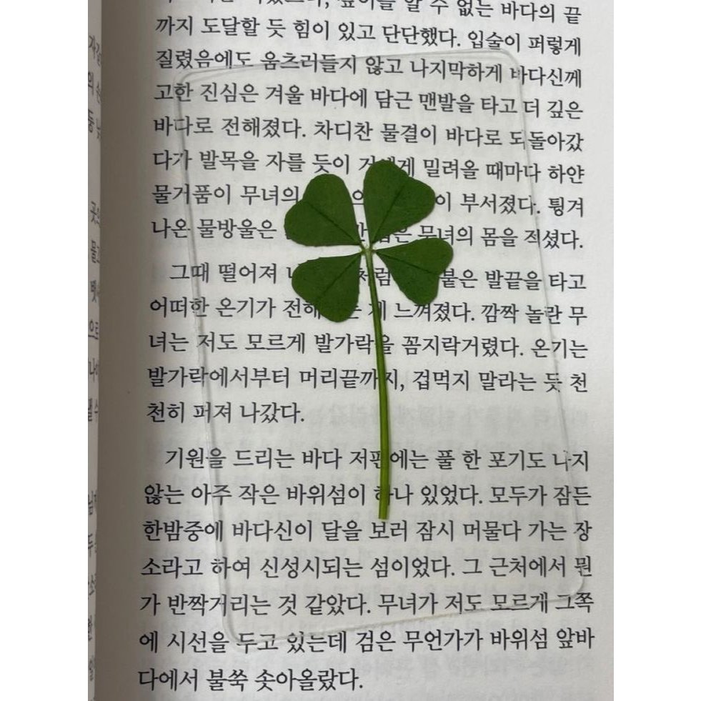 4 Leaf Clover Pressed Into Pieces Brings Good Luck Available Shopee