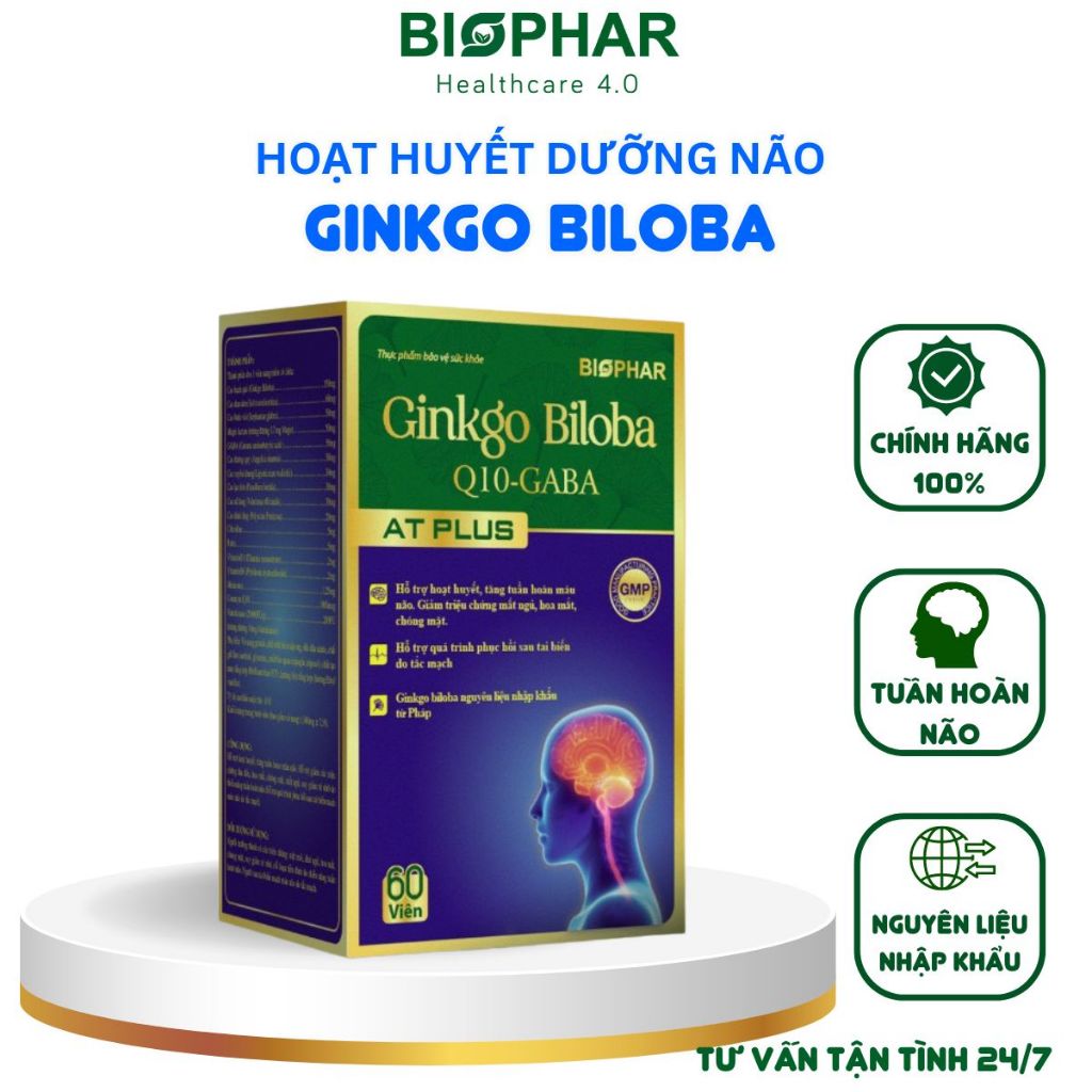 Brain Supplement Ginkgo Biloba Q10-GABA AT Plus Brain Supplement, Brain ...