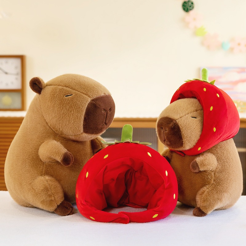 Capybara, Capybara Teddy Bear, Strawberry Capybara, Beautiful Imported ...