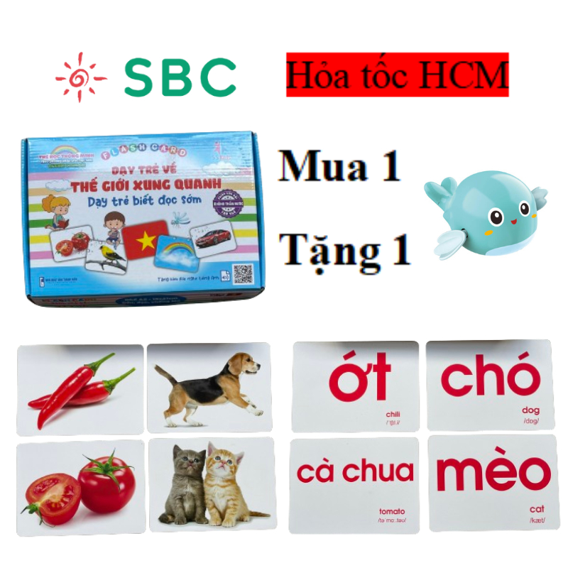 (Ho Chi Minh Express) Flashcard set Teaching children about the world ...