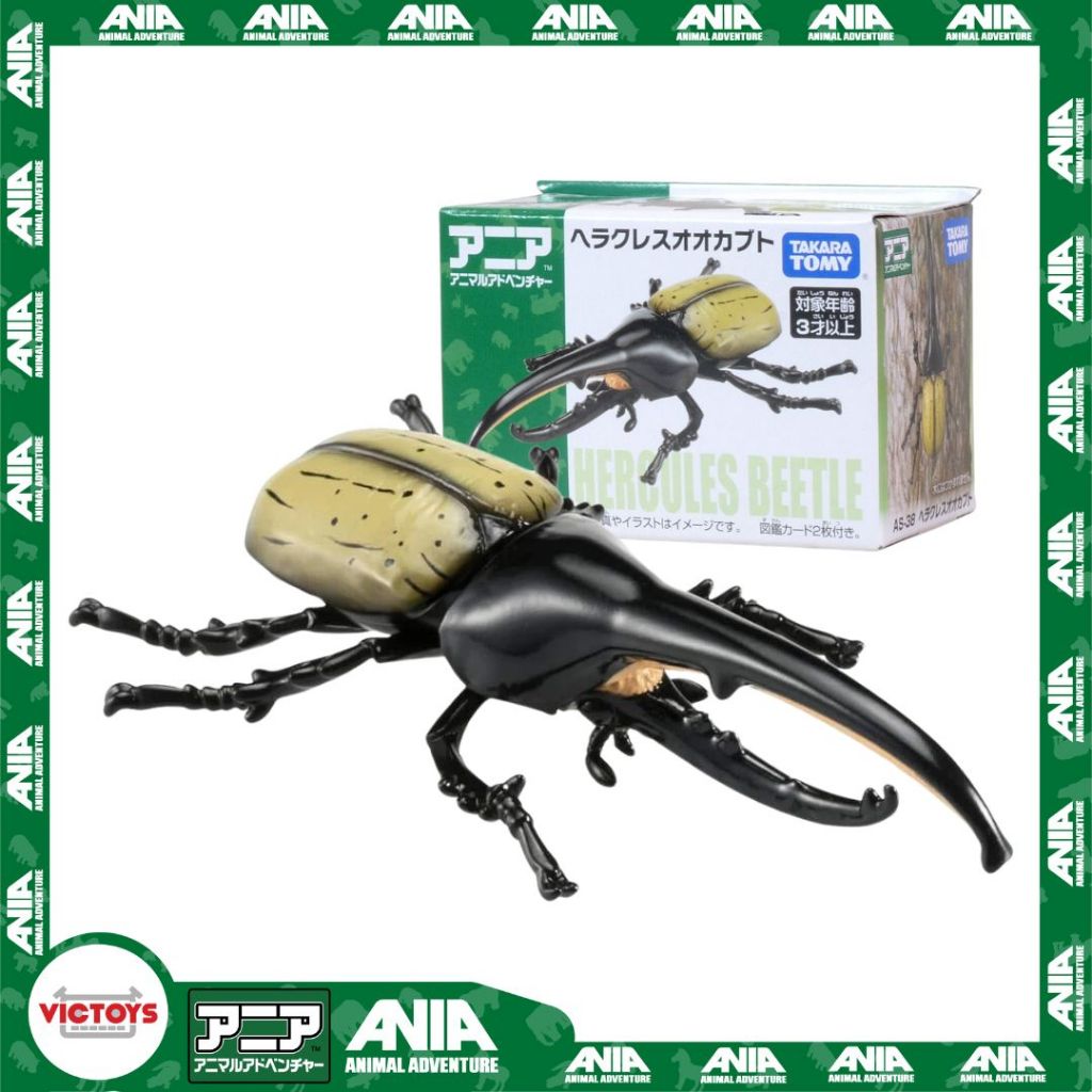 Ant King Insect Model BEETLE ANIA INSECTS HERCULES BEER 210344 Genuine ...