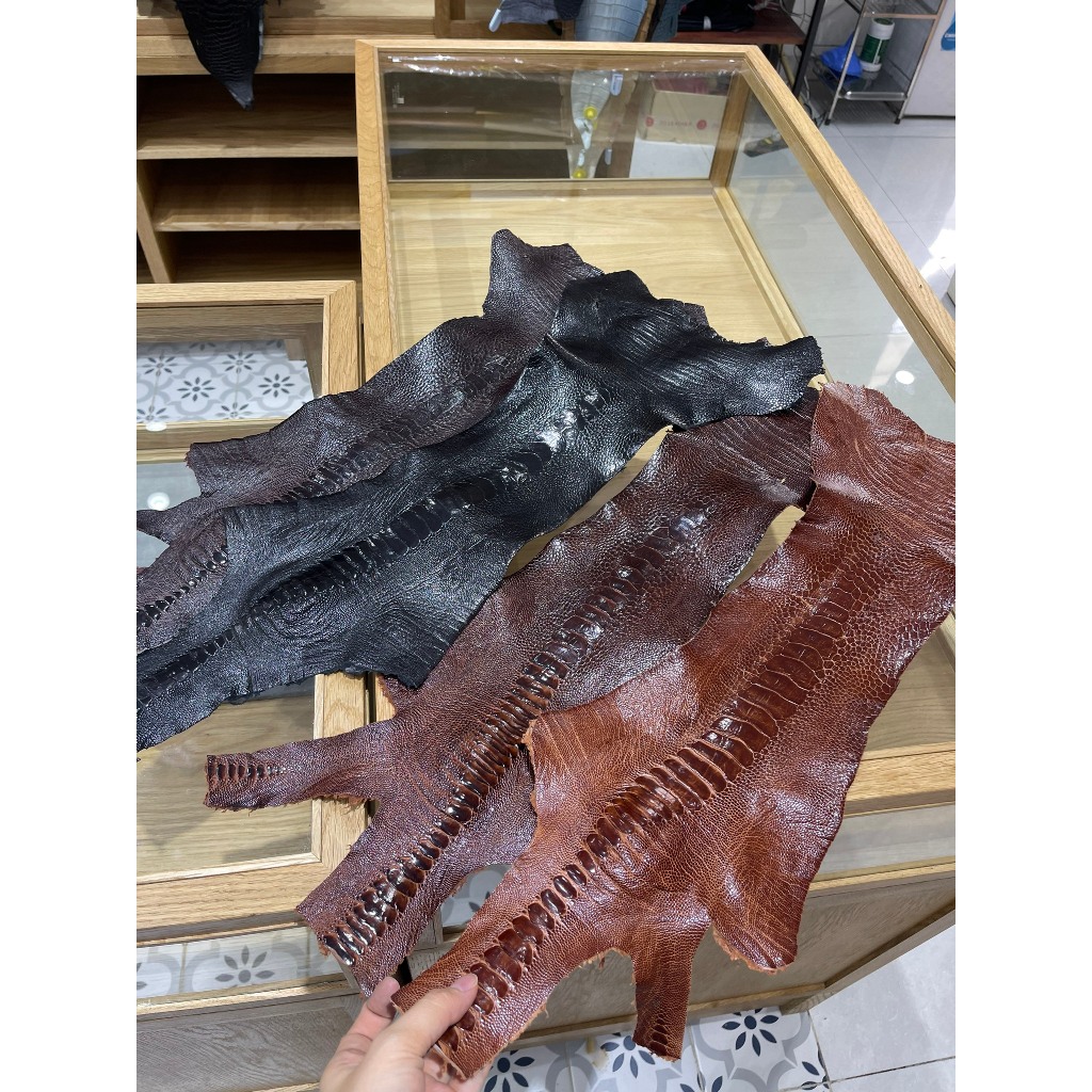 Khatoco Ostrich Legs + Zeromatt + Velodon | Shopee Malaysia