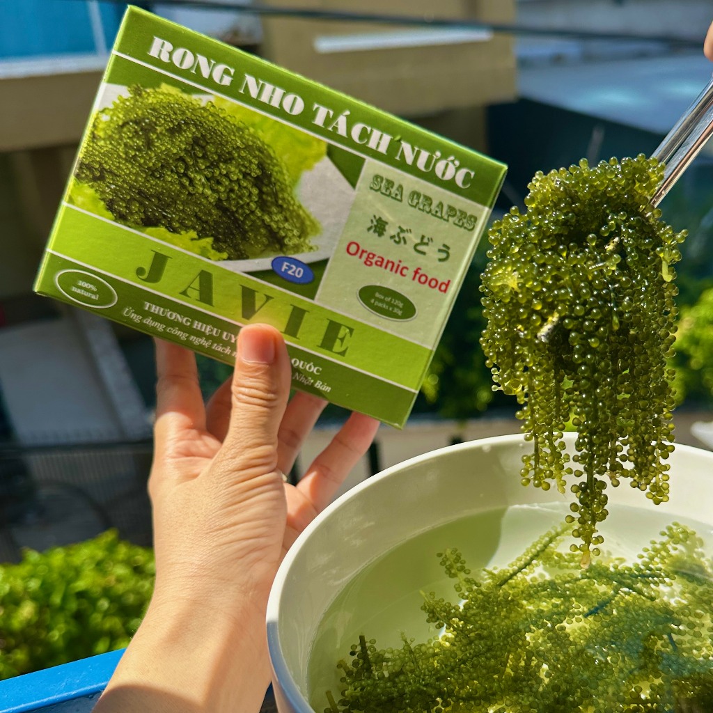 Box 250g / 120g Khanh Hoa Water-Separated Grape Seaweed - Free 5 Packs ...
