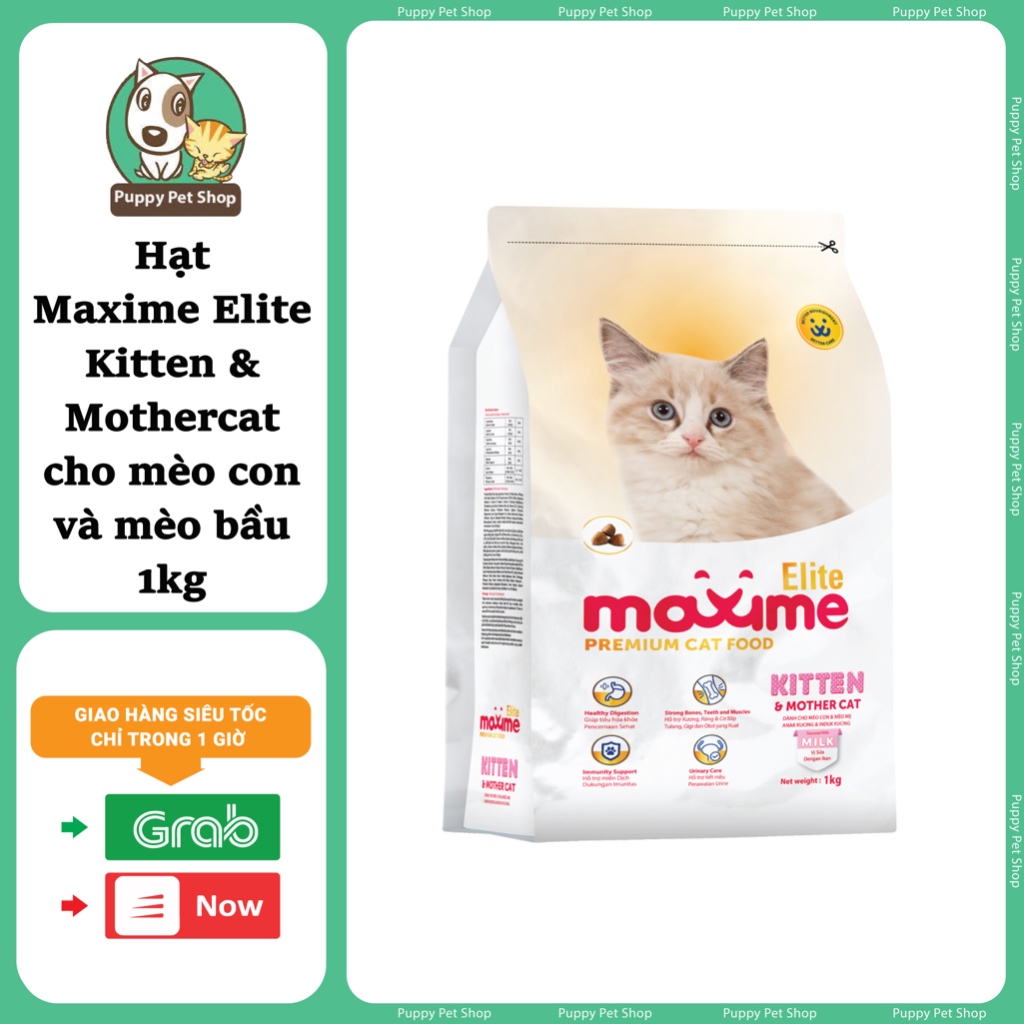 Maxime Elite Seed Food For Pregnant Mother Cats And Kittens 1kg