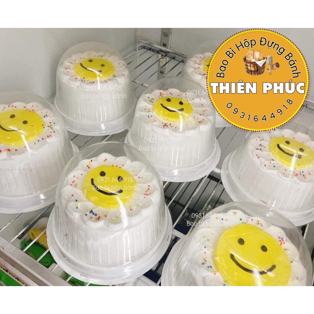 Box H24 Pots - Box H24 Pots - Box H24 Cake Tissue 12cm - 14cm (H24 Pots ...