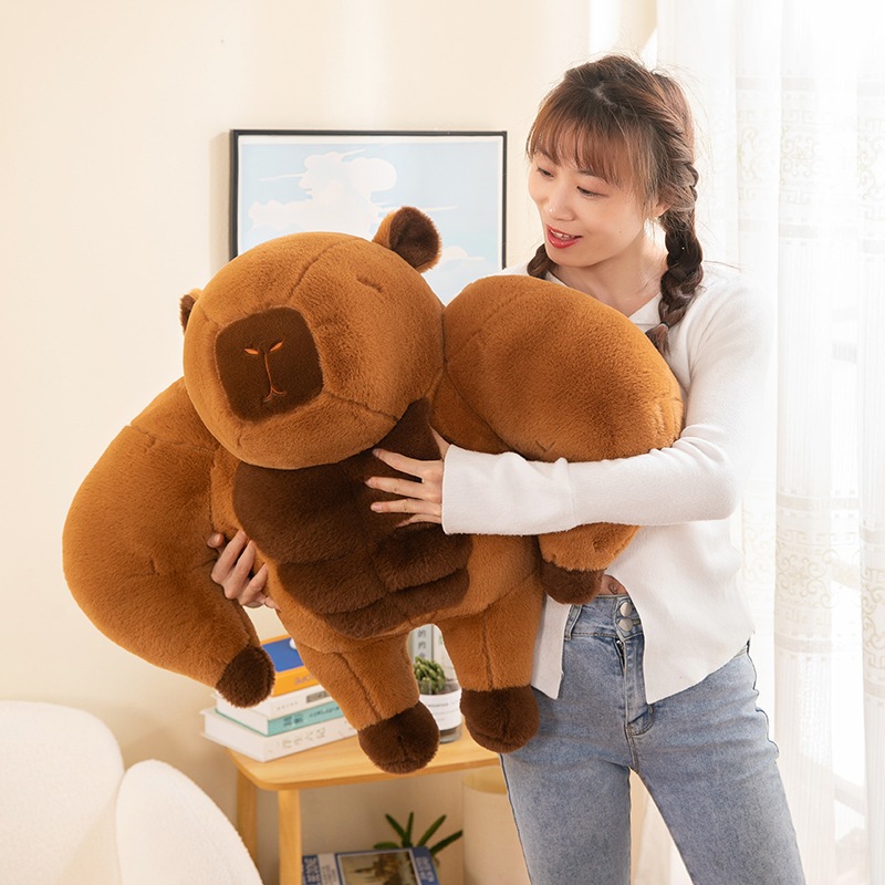 Muscle Athlete Capybara Teddy Bear 6-Pack Gym Foreign School Set - G137 ...