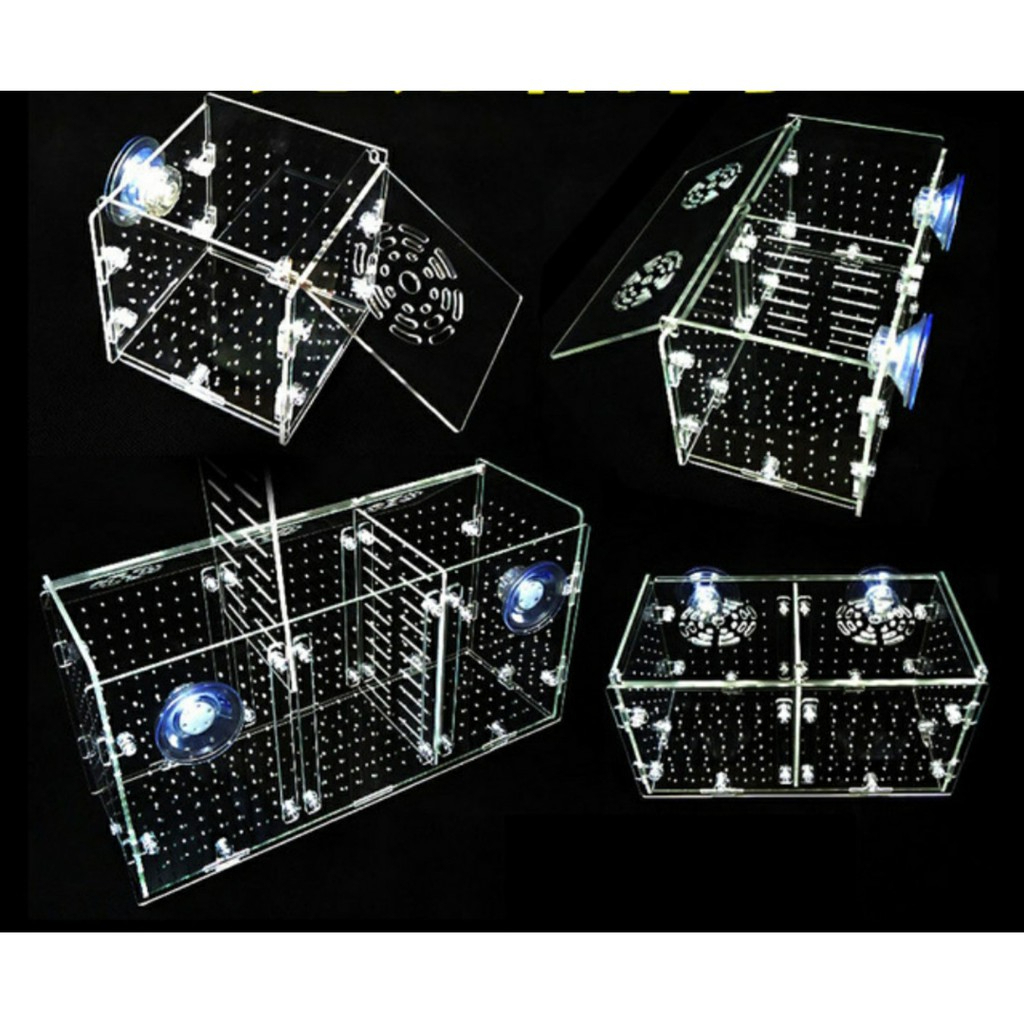 Acrylic Shrimp Cage Floor Super Clear - Aquarium Shrimp Cage Many Sizes ...