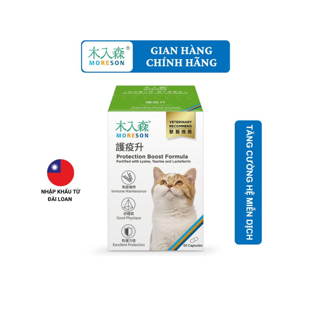 Moreson Strengthens Immune System for Cats (60 tablets)|Lysine, Taurine ...