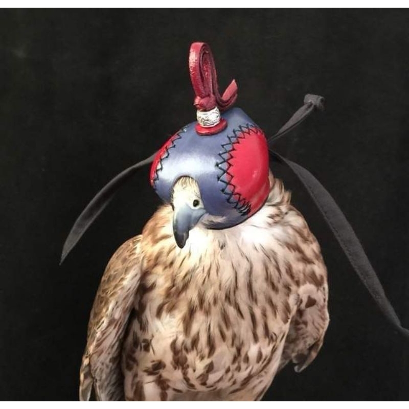 New.Eagle hat, falcon hat, bird of prey eye cover | Shopee Malaysia