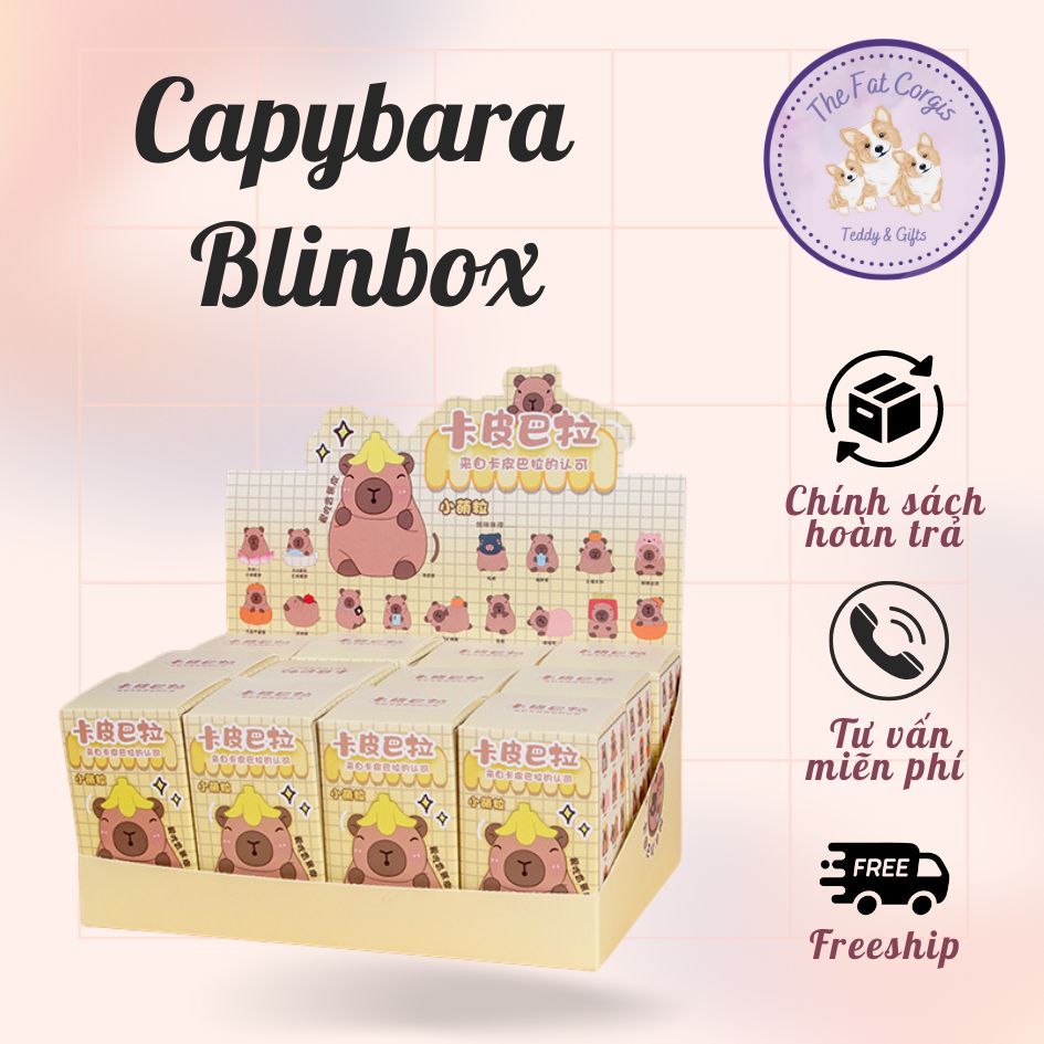(1 Box Of 1) Blindbox Blindbox Blind Box Character Model Capybara ...