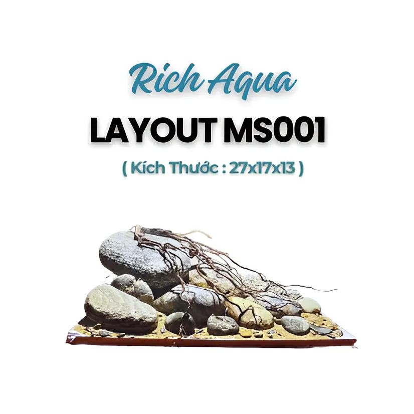 Rattan pebble Layout to decorate Co2-free Biotop aquarium - mini fish ...